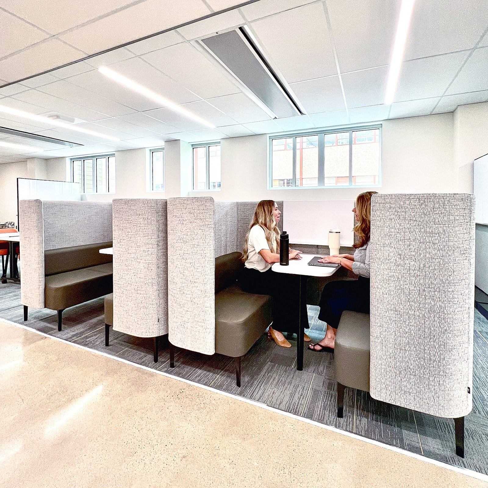 ASU Bateman Physical Sciences-Wings D+E | Goodmans